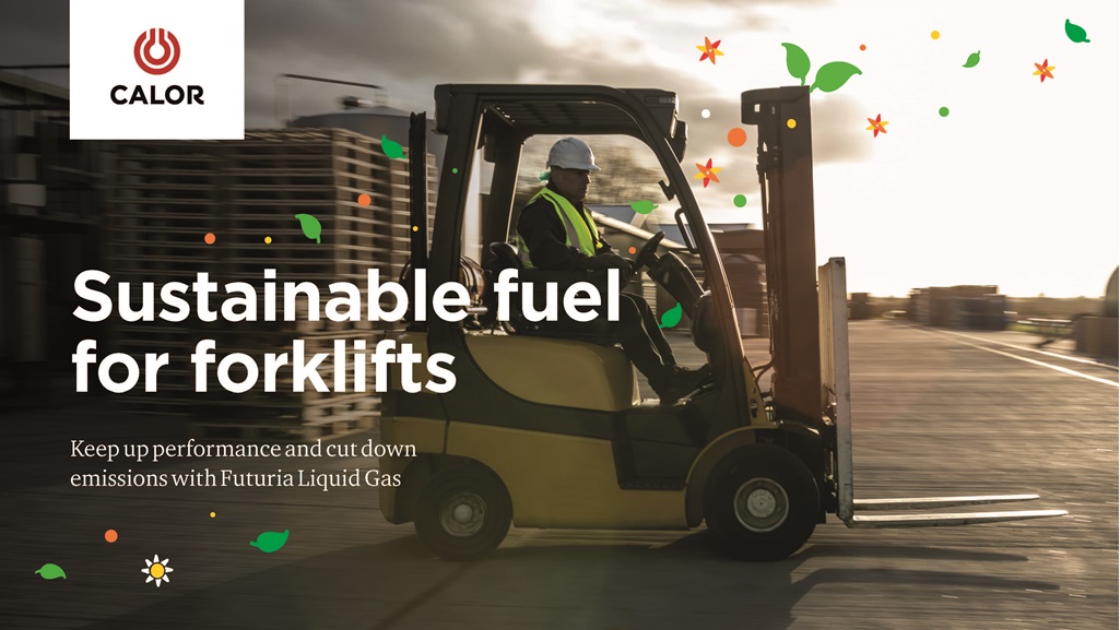 Reports and Downloads