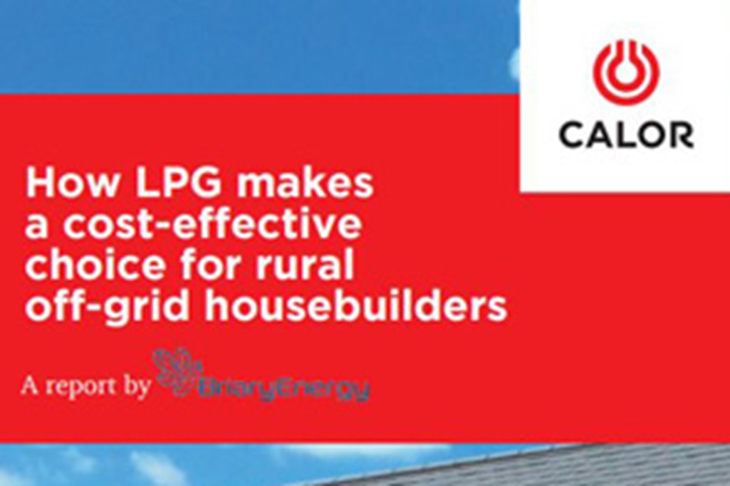 Reports and Downloads