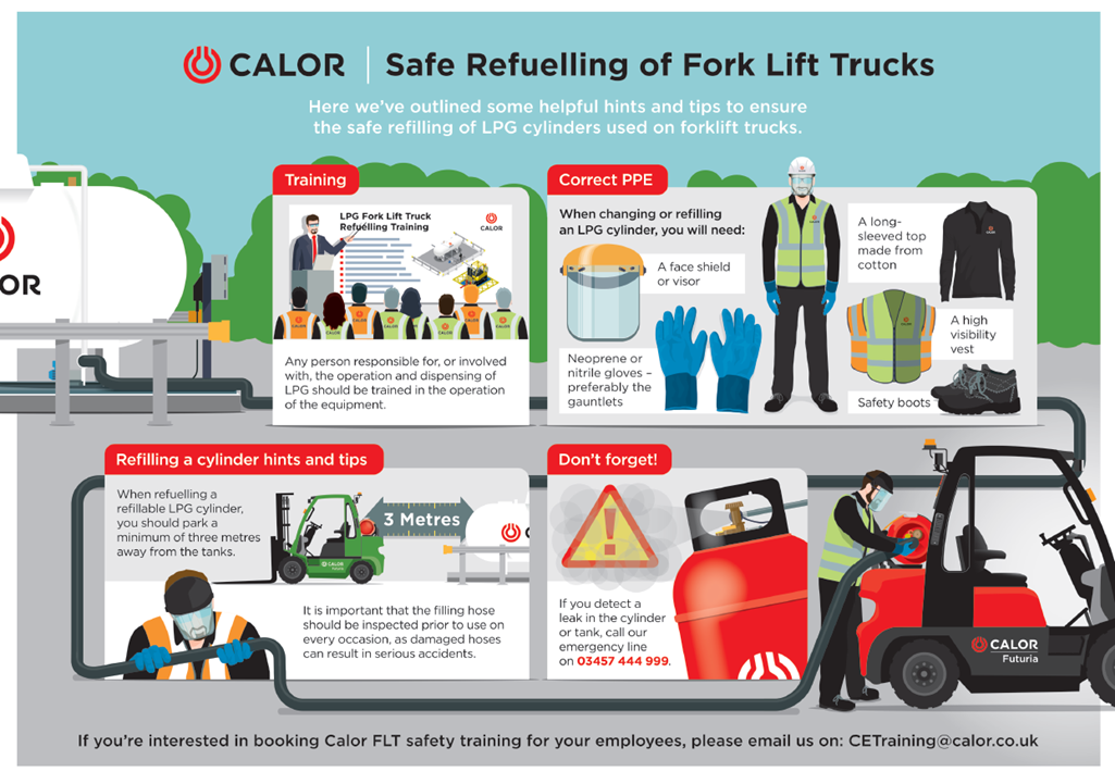 Reports and Downloads