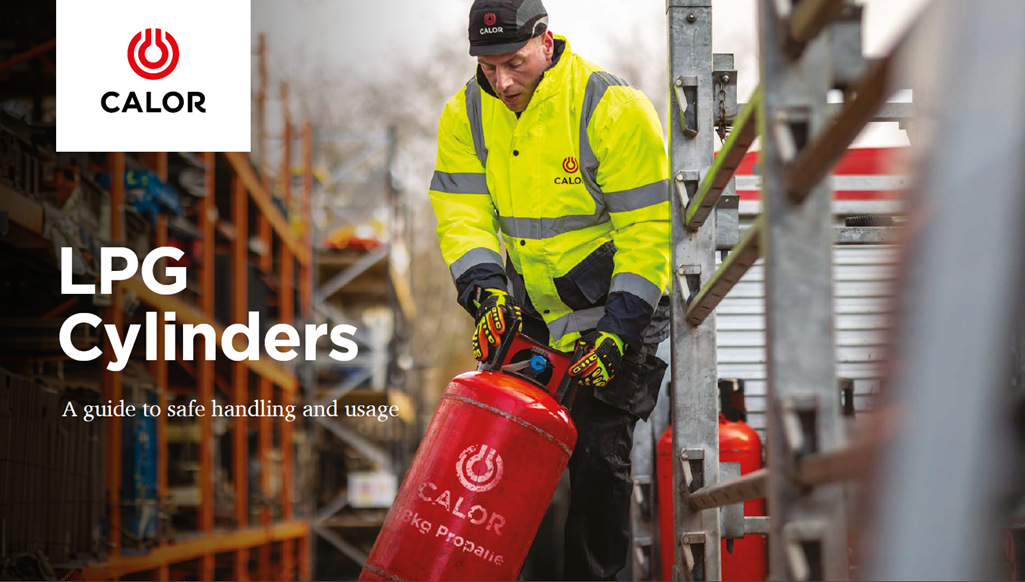 Reports and Downloads